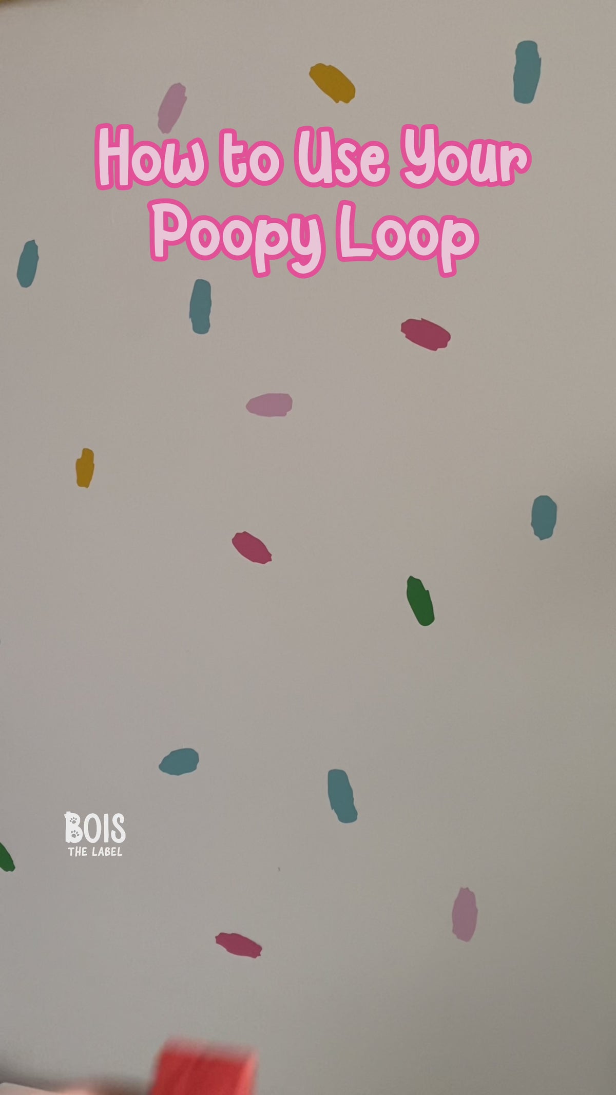 Pink Sprinkle Donut - Poopy Loop – BOIS The Label